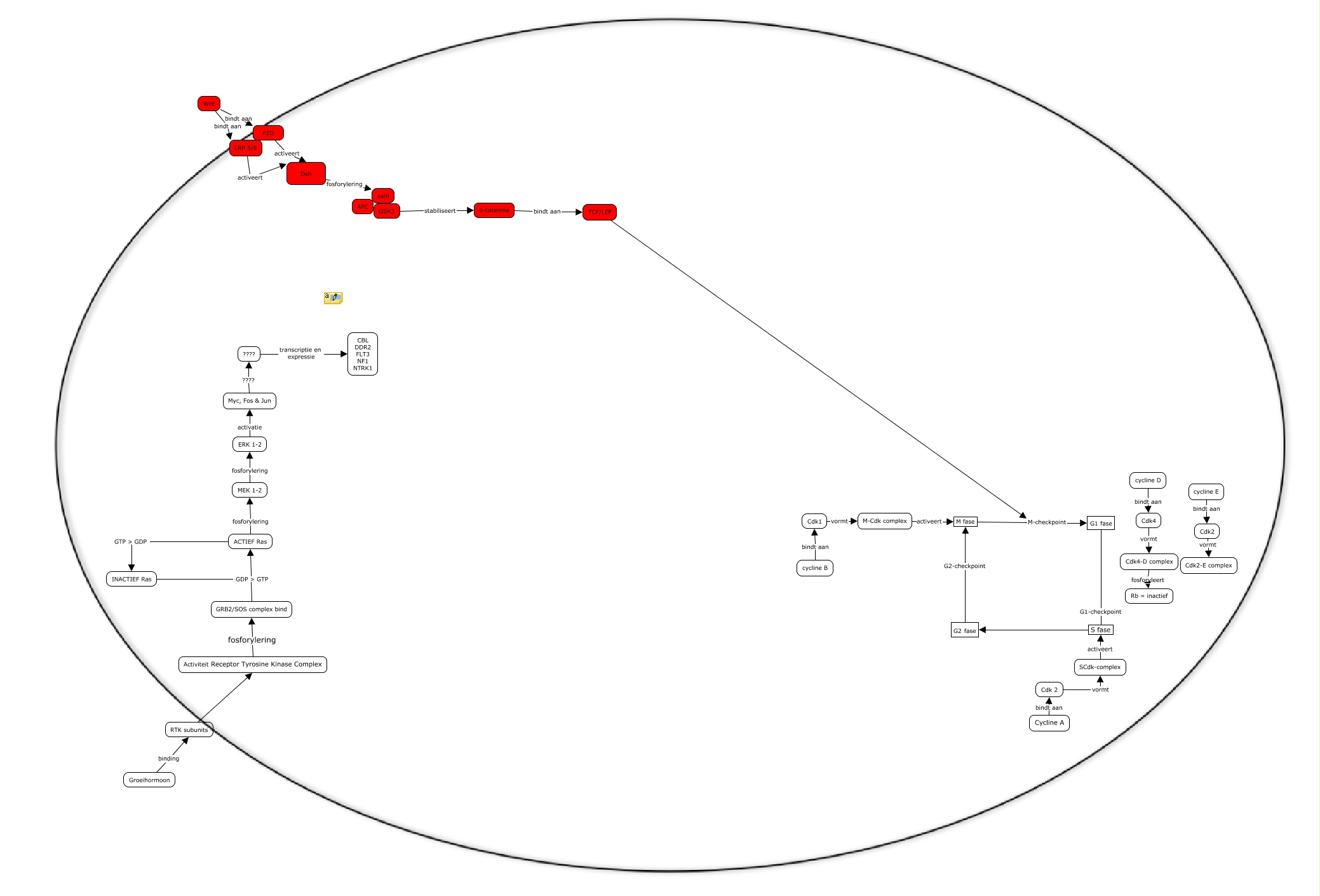 CMap opdracht versie 1